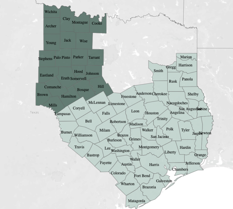 Maps - Episcopal Health Foundation